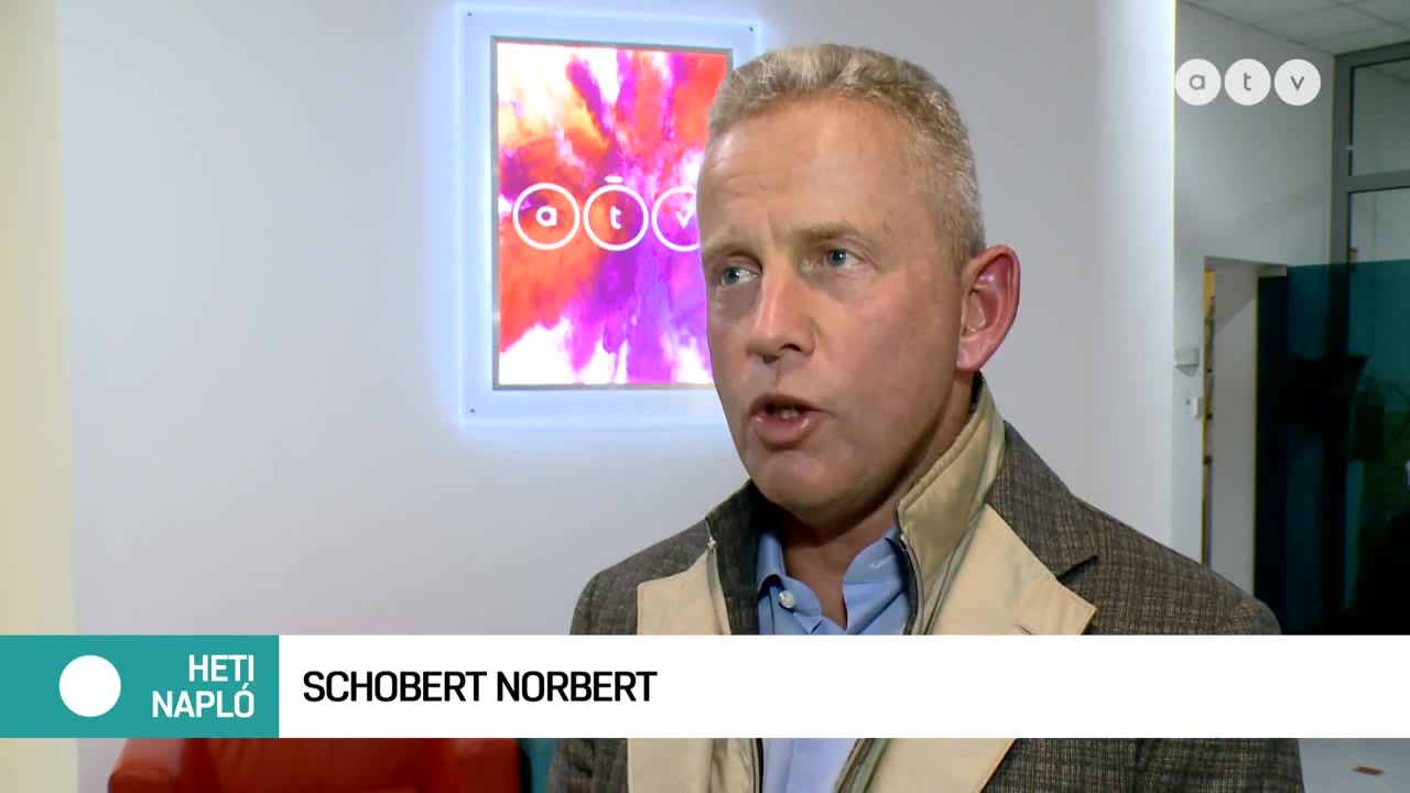 Norbi a Heti Naplónak: A macskák nem híznak el a szülés után, hanem ...