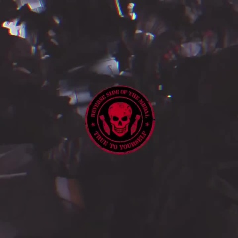 REVERSE SIDE OF THE MEDAL - Coub