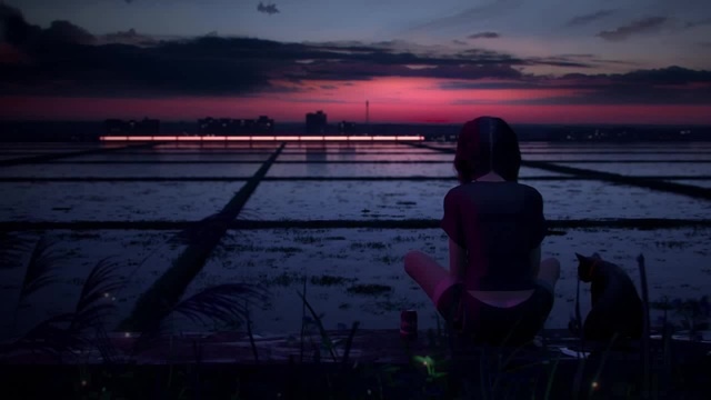 Reflection - Coub - The Biggest Video Meme Platform