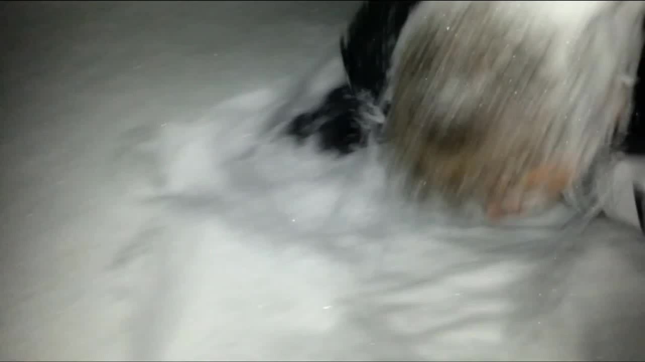 Tolik love with coco - Coub