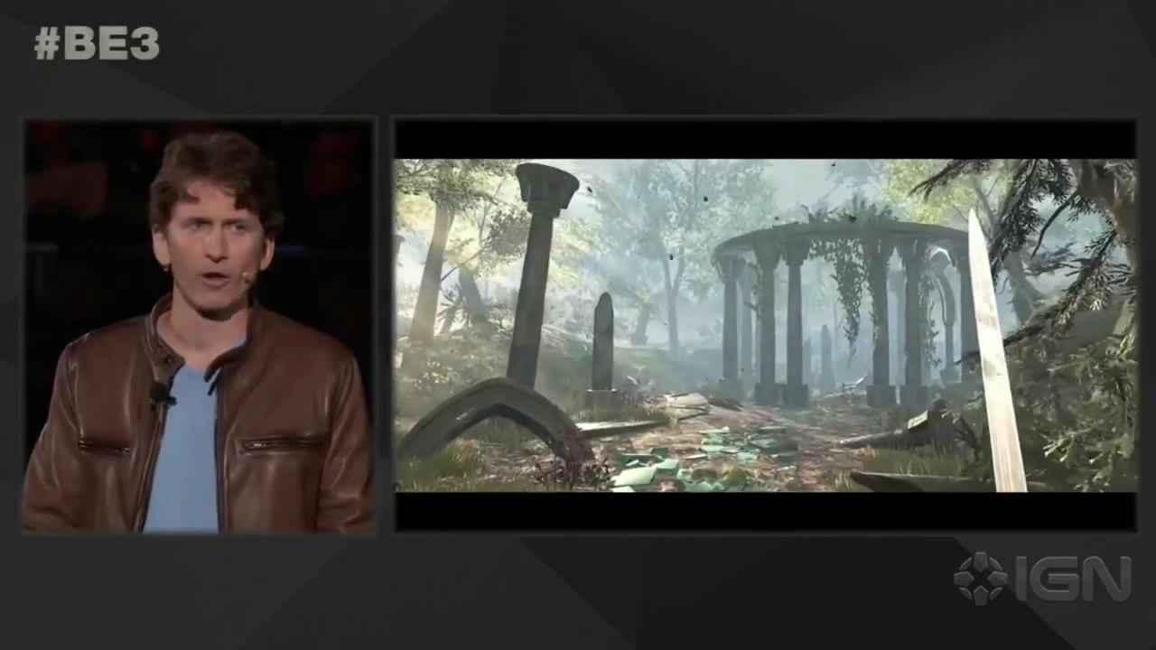 The Elder Scrolls Blades - I never asked for this edition - Coub - The Biggest Video Meme Platform