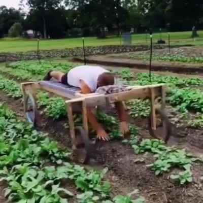 the fields - Coub - The Biggest Video Meme Platform