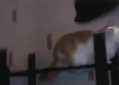 Smooth criminal - Coub