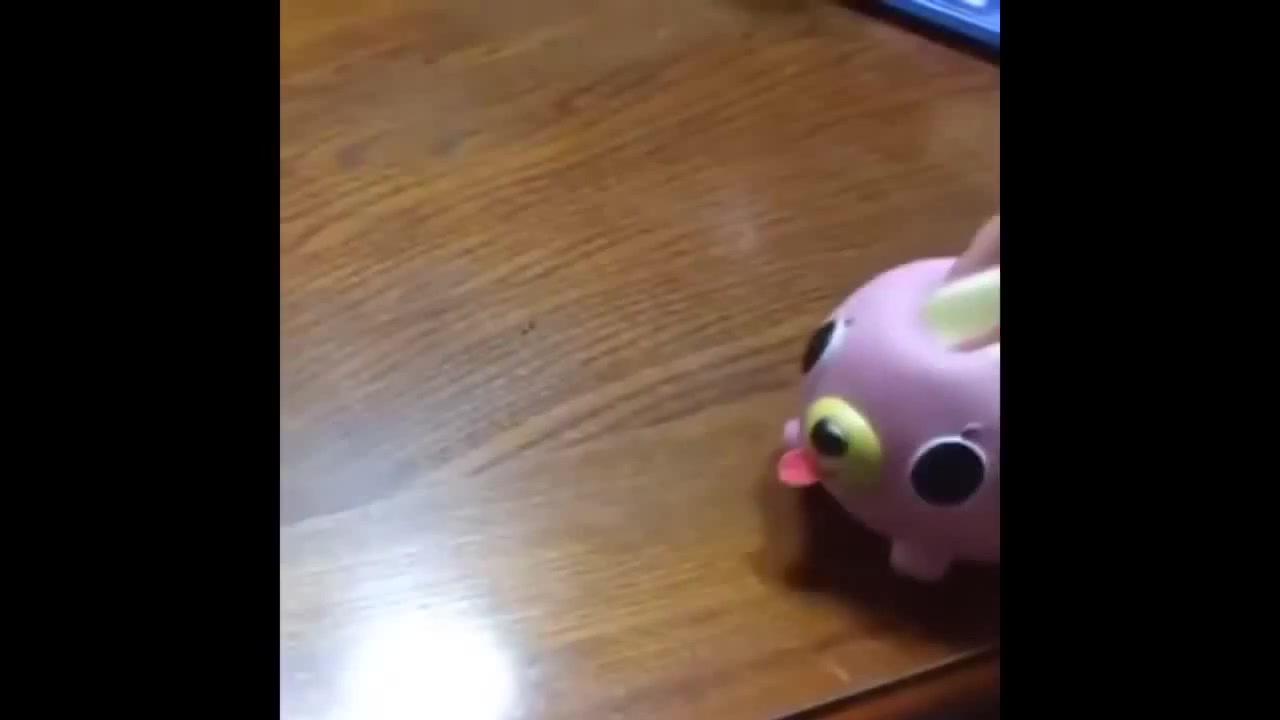 Pink dog toy meme COMPILATION - Coub - The Biggest Video Meme Platform