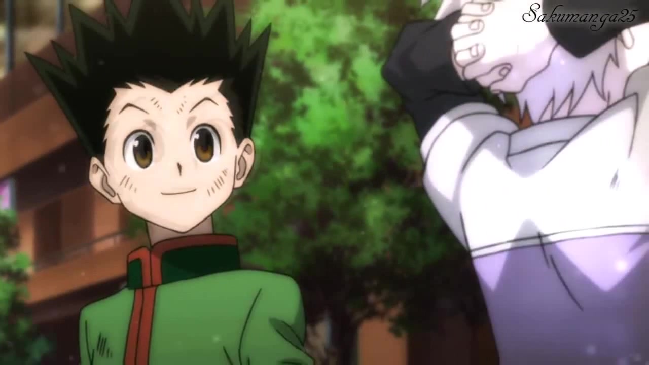 Hunter x Hunter - see you again Family - Coub