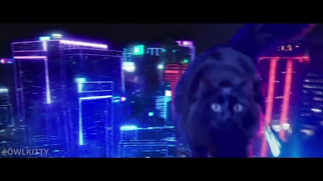 Godzilla vs. Cat (OwlKitty Parody) - Coub - The Biggest Video Meme Platform