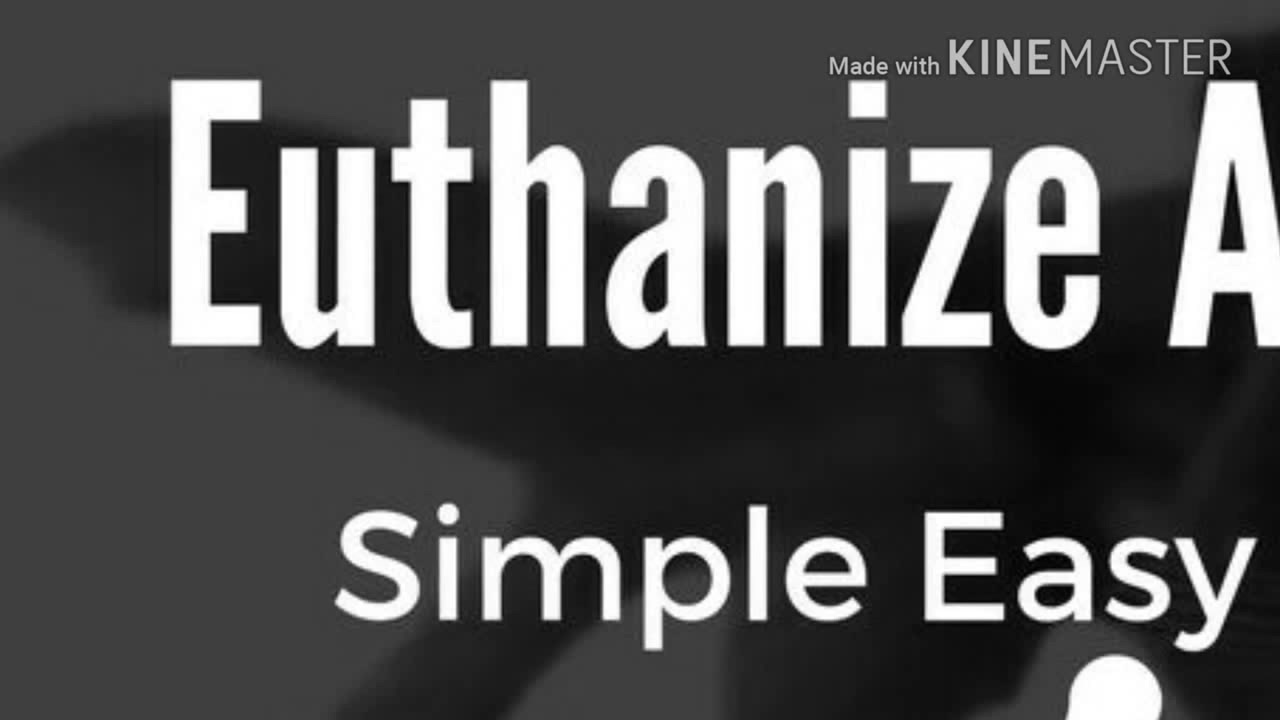 How to euthenise a pet - Coub