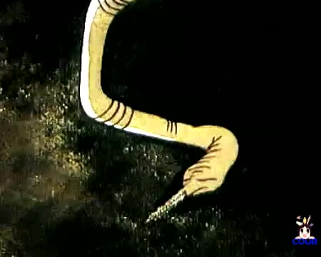 Simon-worm - Coub - The Biggest Video Meme Platform