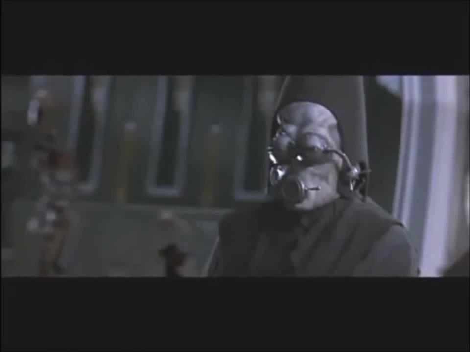 What's Wrong With Your Face? - Coub - The Biggest Video Meme Platform