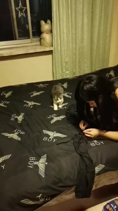 Cat: I am ready to jump - Coub