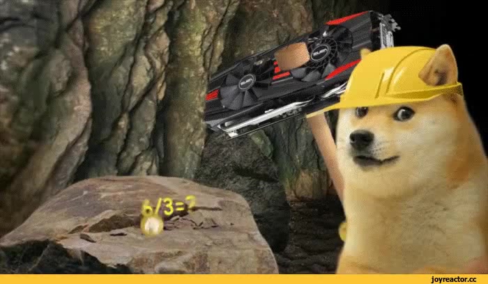 Diggy Diggy Doge - Coub