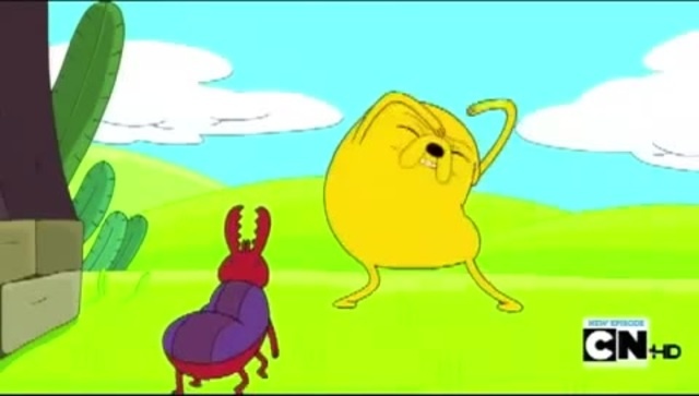 adventure time dancing bug /время приключений ,жук тусовщик - Coub