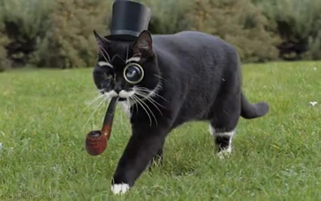 This world so strange... - Coub - The Biggest Video Meme Platform