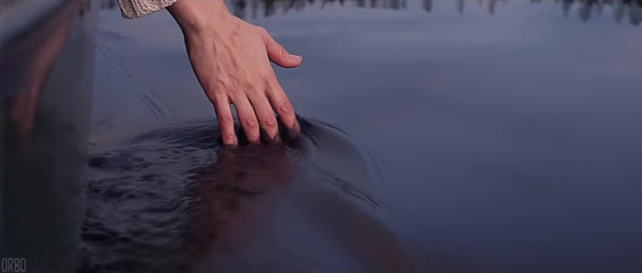 Flowers - Coub - The Biggest Video Meme Platform