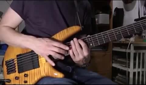 Primus Dmv bassline -Leitnerjoe- 6string fretted Bass - Coub