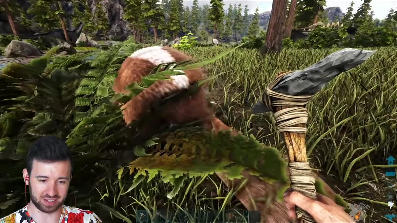 Мексиканский бобёр в ARK - Coub