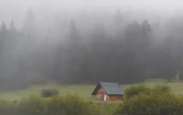 Rainy mood 🌧💦💧🌲 - Coub