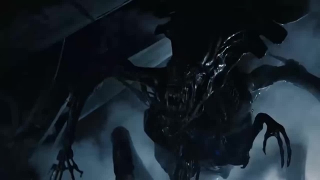 А РИПЛИ ВЫЙДЕТ ПОГУЛЯТЬ? 🐉 Чужой \ Alien - Coub