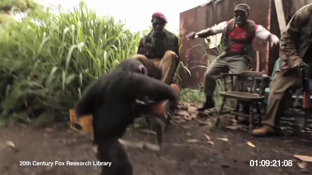 Ape With AK-47 - Coub - The Biggest Video Meme Platform