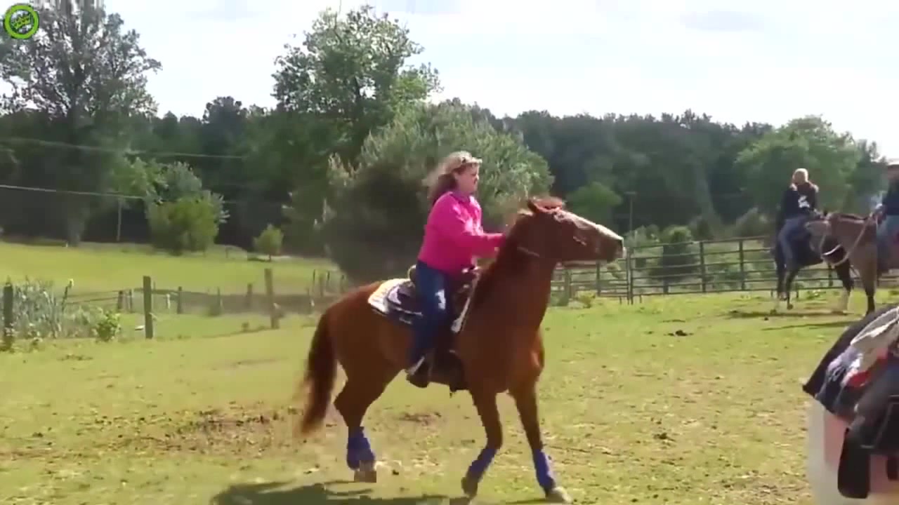 His name is John Conina - Coub - The Biggest Video Meme Platform