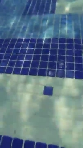 True anger underwater - Coub