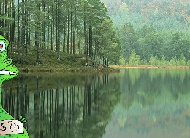 Nessy 3.50 $ ??? (loch ness monster) - Coub - The Biggest Video Meme Platform