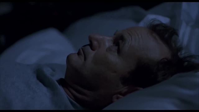 Lost in translation after dark - Coub