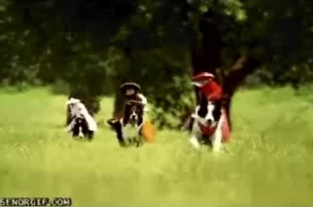 Mexican Monkey (NEW DAFT PUNK SONG 2013) - Coub