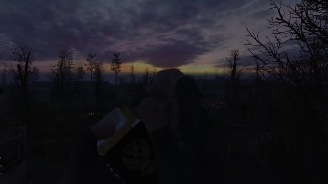 Stalker GAMMA is an Experience - Coub