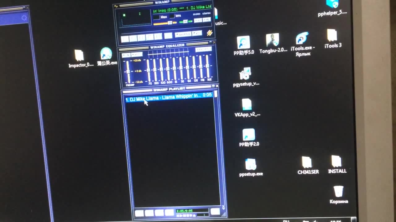 Winamp: It Really Whips the Llama's Ass - Coub - The Biggest Video Meme ...
