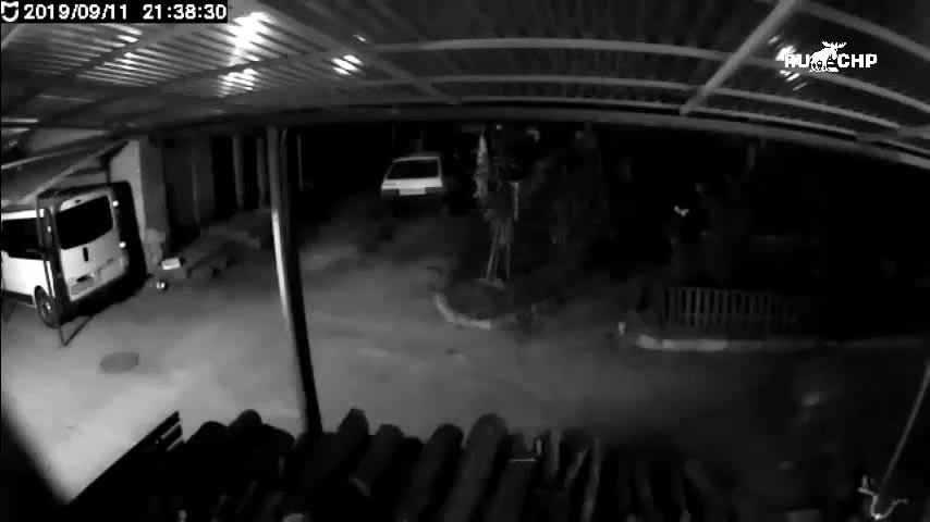 Night Terror. - Coub