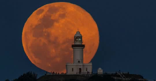 Moonlight - Coub - The Biggest Video Meme Platform