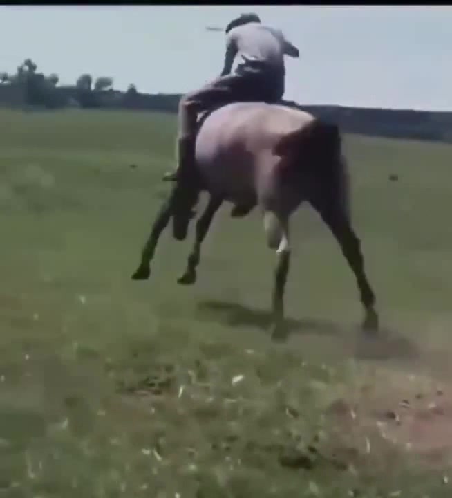 You spin me right round - Coub