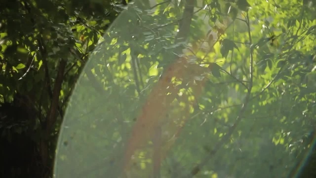 glare #livecoub - Coub