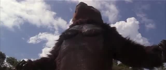 Lady Kong - Coub - The Biggest Video Meme Platform