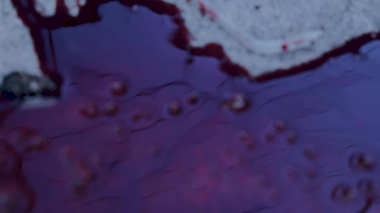 E d g y ~101~ - Coub