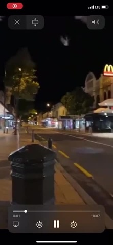 Seagull - Coub - The Biggest Video Meme Platform