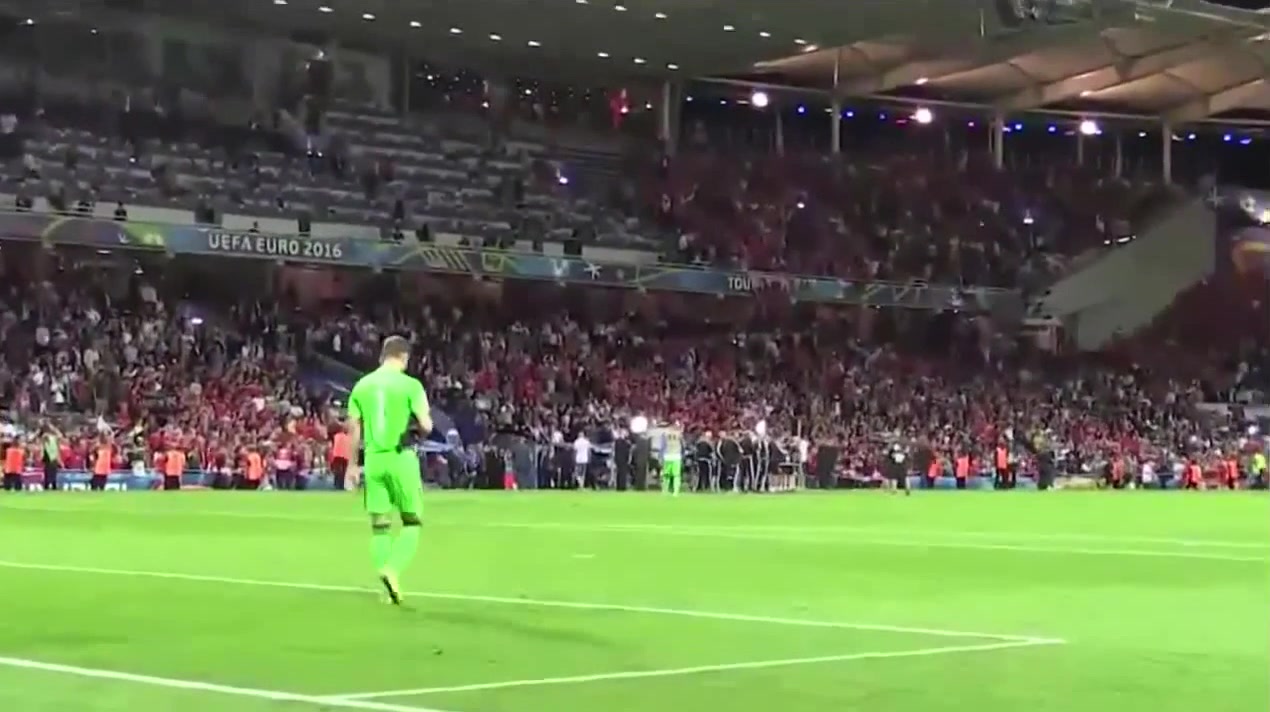 Akinfeev's Hurt - Coub