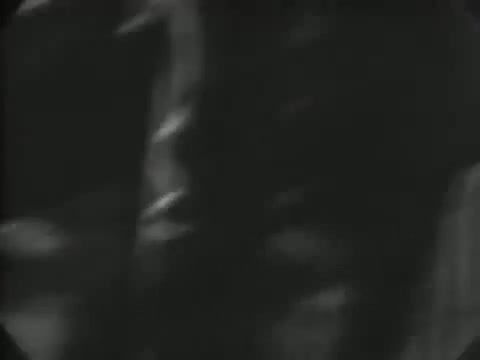 The Easybeats - Friday On My Mind - Coub