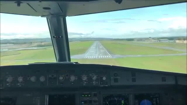 RIP Bird :'( - Coub - The Biggest Video Meme Platform