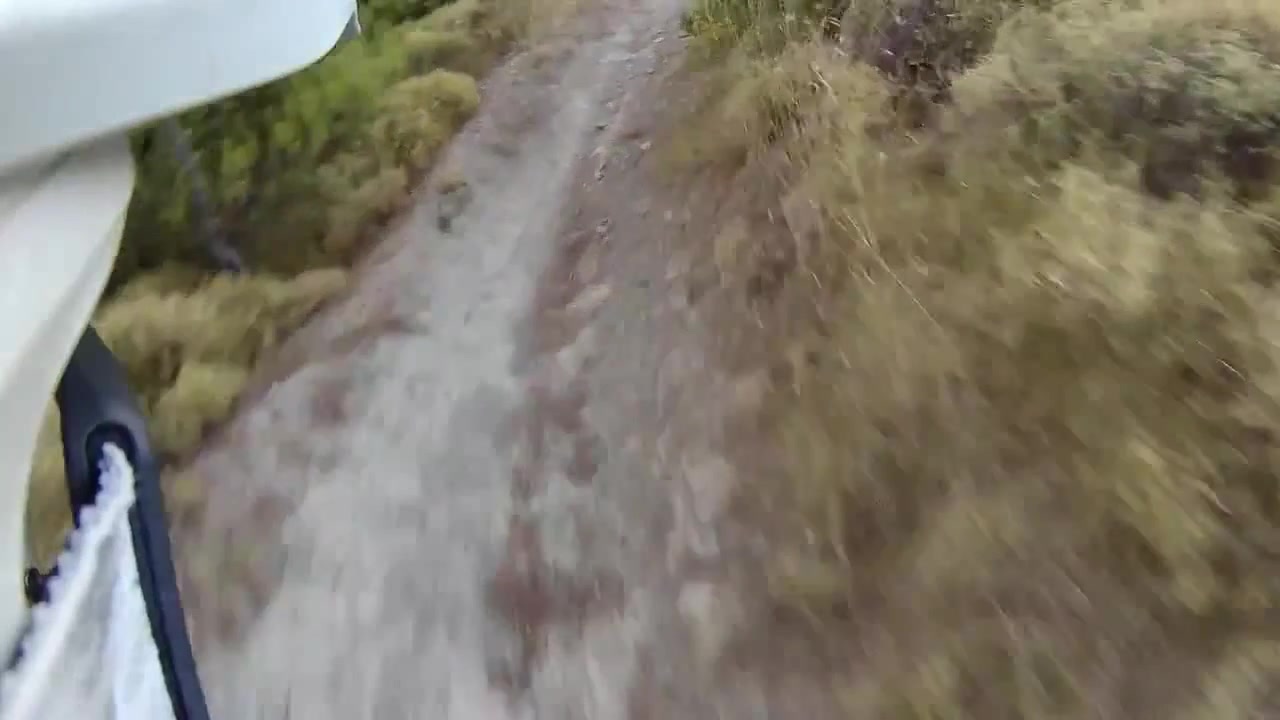 Sheep trouble - Coub