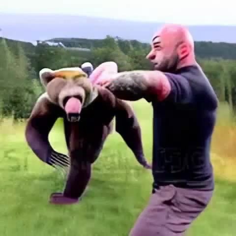 Fight with bear - Coub