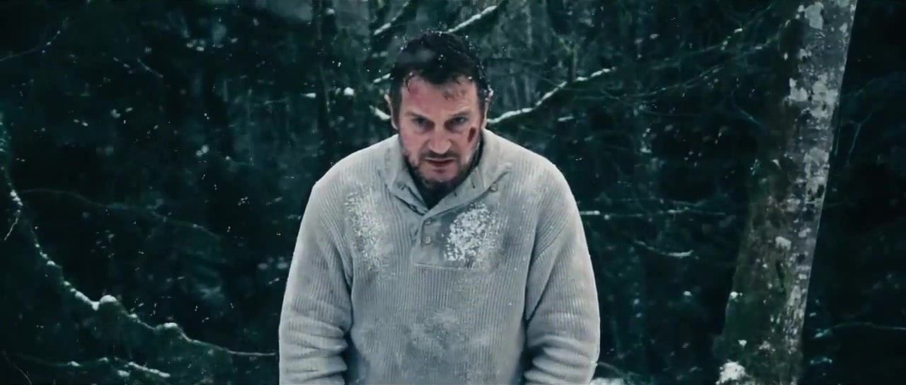 The Grey Scene - Coub