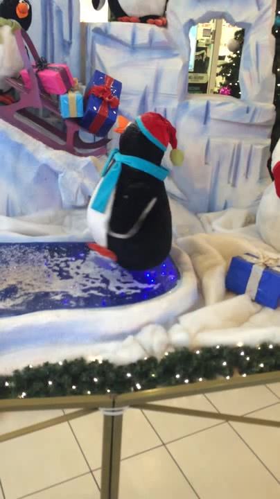 Help to find pinguins mind - Coub - The Biggest Video Meme Platform