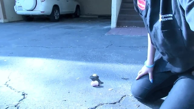 Joe Bish & BIG BUBBA Do Easter! - Coub