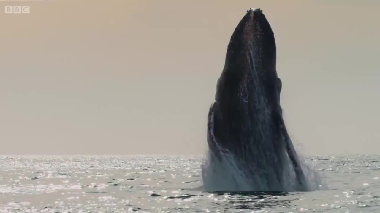 “Take a deep breath.” - Coub