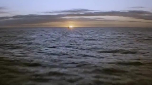 set your sails! - Coub