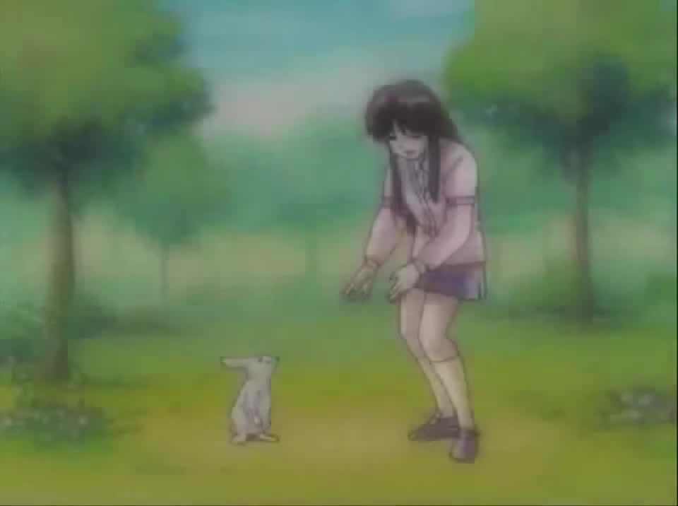 Ghost Stories Anime: Ghost Rabbit - Coub