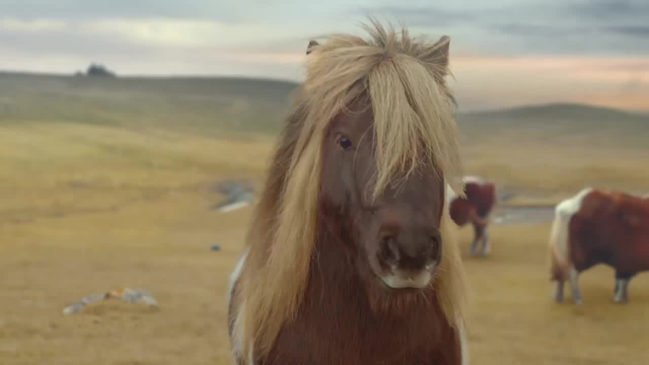 Three - The Pony #DancePonyDance - Coub - The Biggest Video Meme Platform