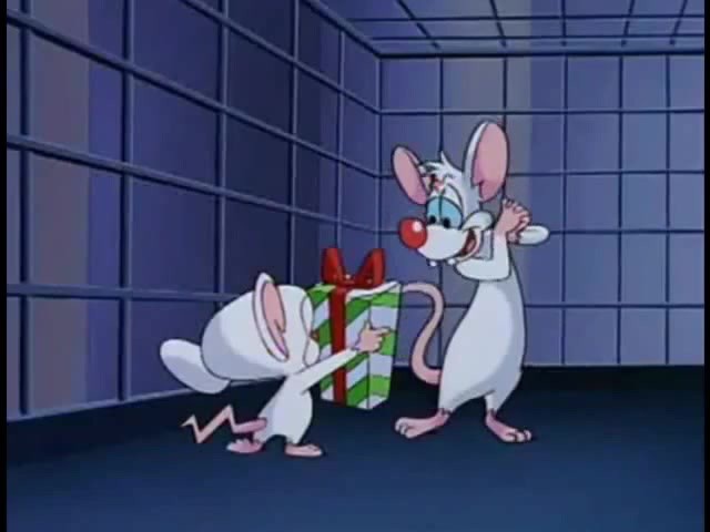 Pinky And The Brain Wallpaper Layouts Backgrounds